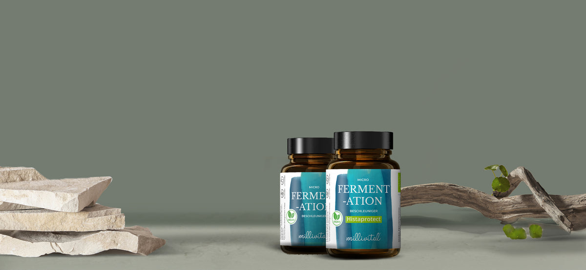 Micro-Fermentation – Millivital