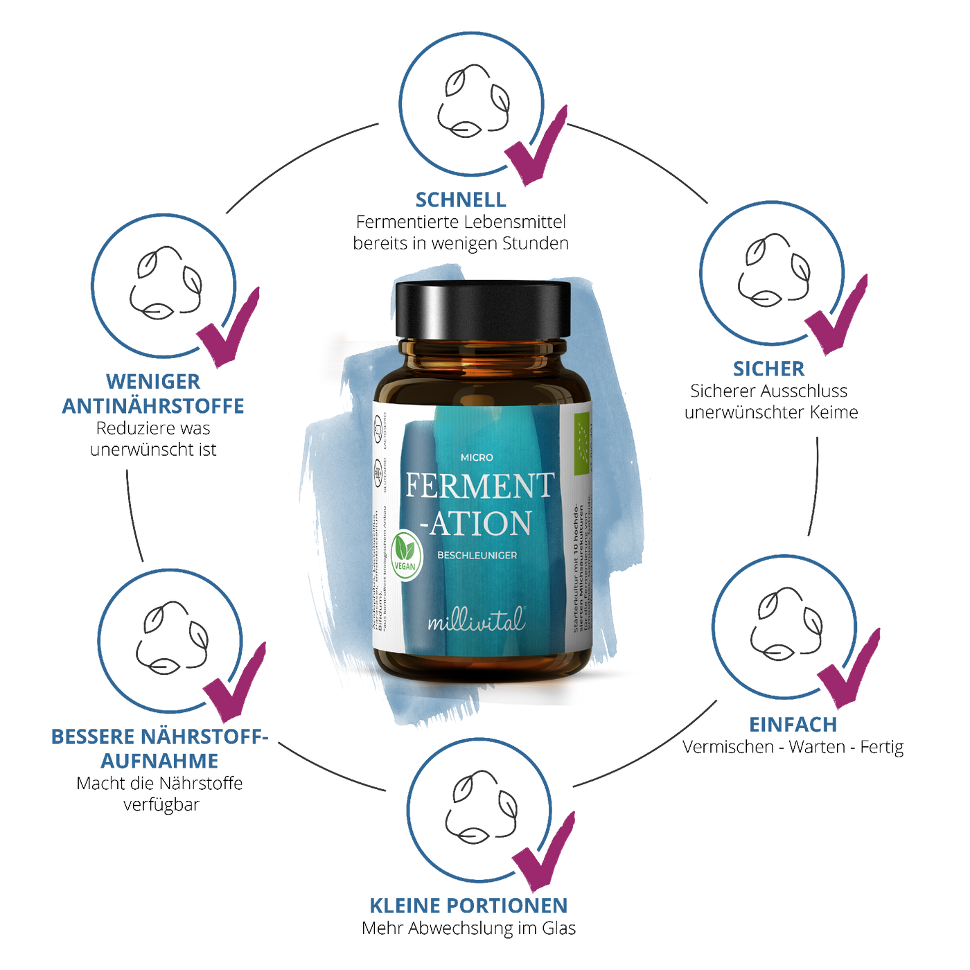 Download Basisanleitung Micro-Fermentation – Millivital
