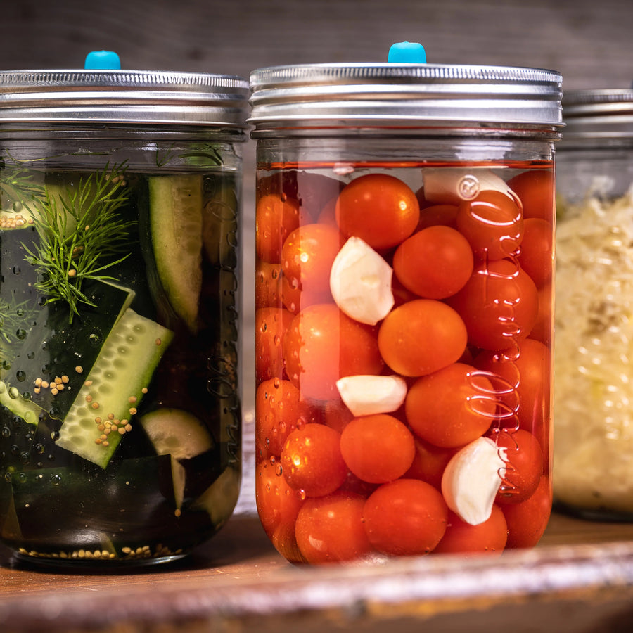 Download Basisanleitung Micro-Fermentation – Millivital