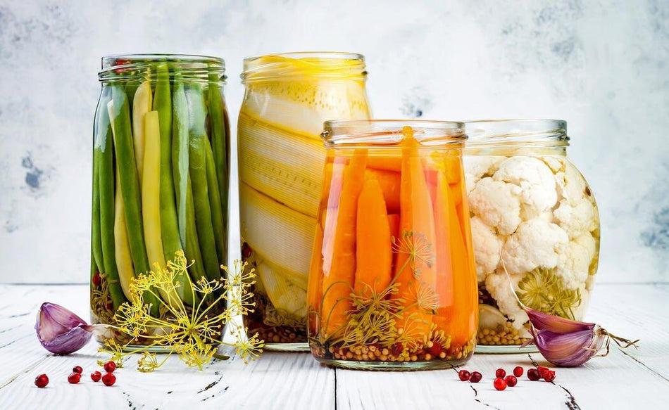 Download Basisanleitung Micro-Fermentation – Millivital